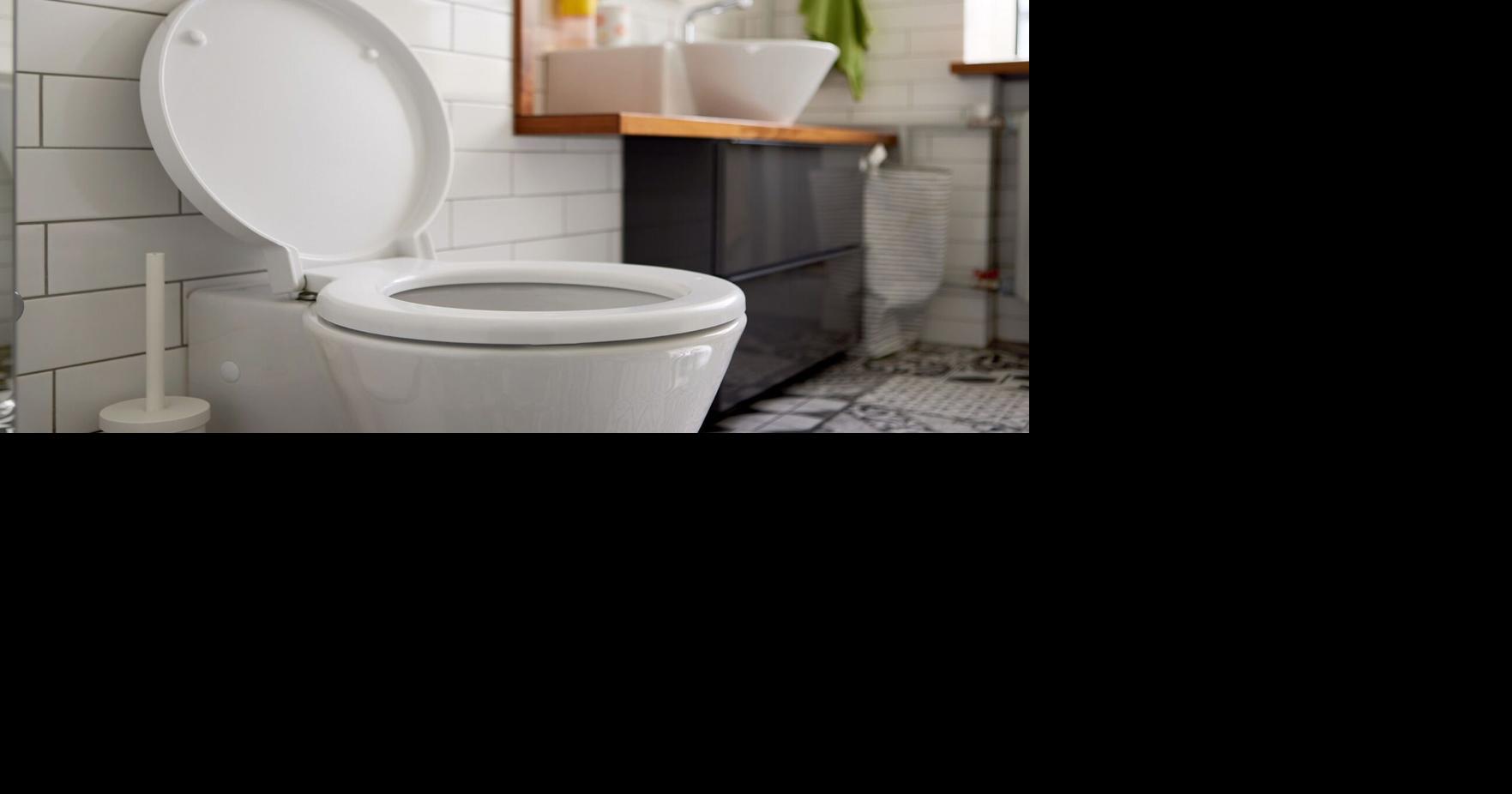 How often you poop could suggest more than you think, study finds ...