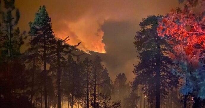 Hundreds of giant sequoias may have burned as the KNP Complex Fire ...