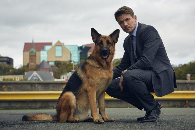 'Hudson & Rex' star John Reardon says he didn't leave TV series by ...