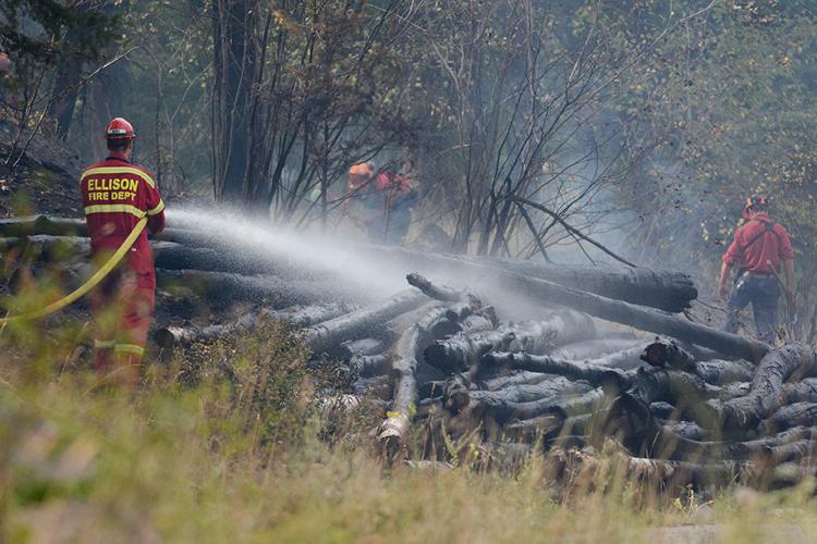 Ellison log pile fire | Gallery | kelownadailycourier.ca
