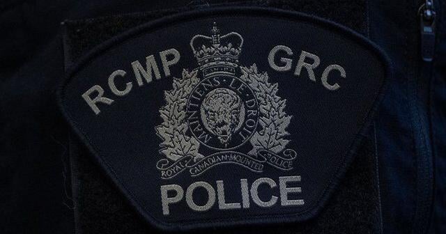 Man Charged with Bestiality After Trespassing on Vernon Horse Training ...