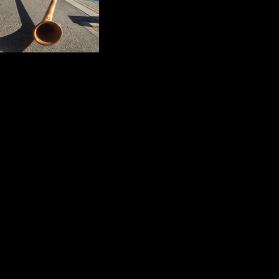 Alphorn player delights with the sounds of Switzerland | News ...