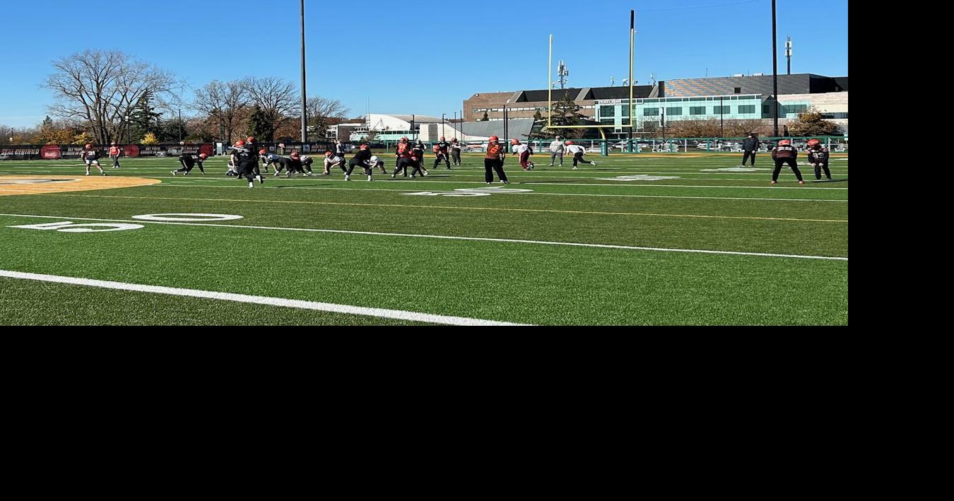 Sun going for their fourth national championship | Sports ...