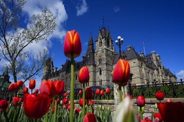 House of Commons passes bill criminalizing forced sterilization ...