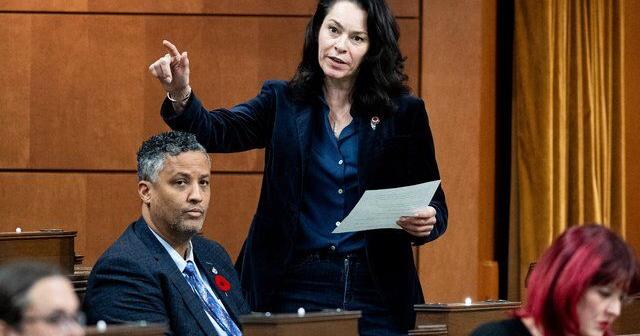 MP Heather McPherson launches NDP leadership bid | National News ...