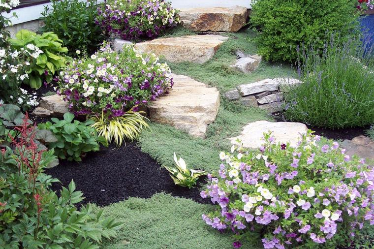 Ground cover for gardens; stitching together your landscape | Life ...