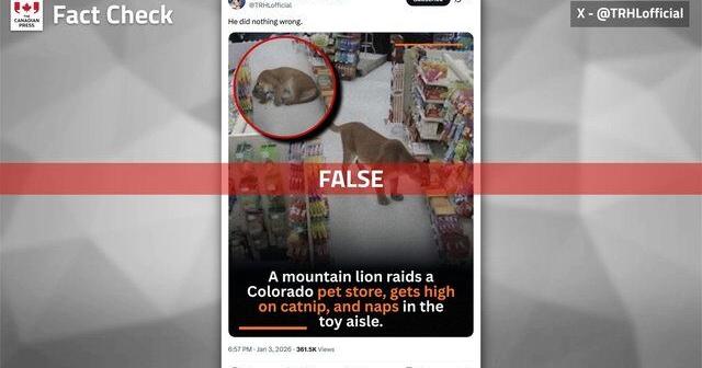 Fact File: Canadian store's security photo manipulated to show mountain ...