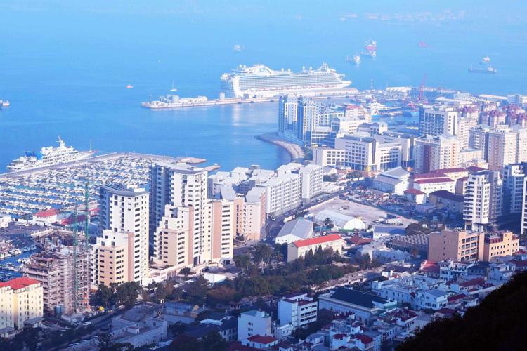 Monkeying around in Gibraltar | Life | kelownadailycourier.ca