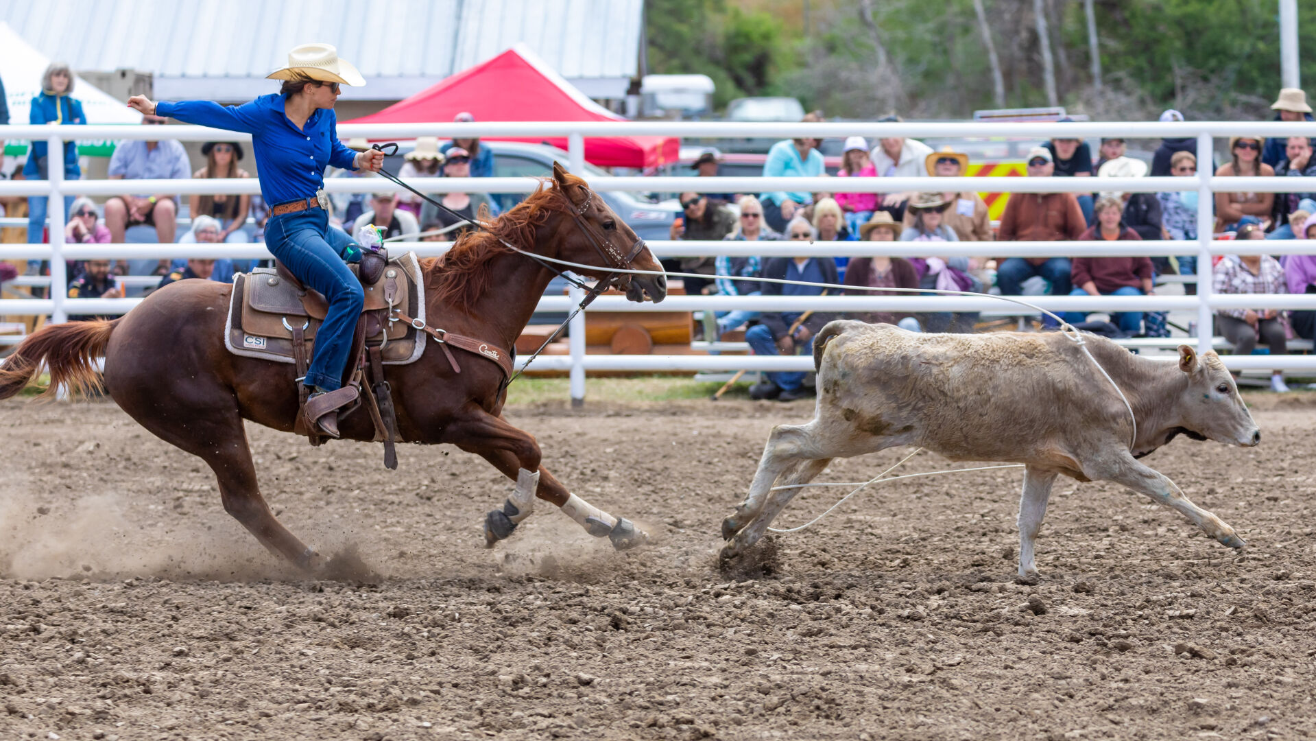 84th Keremeos Rodeo goes this weekend | News | kelownadailycourier.ca
