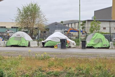 Kelowna S Homeless Encampment Thinning Out Mayor Says News