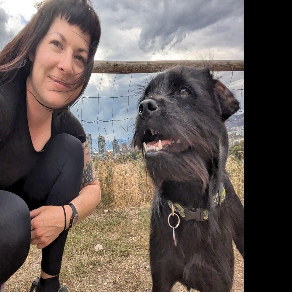 Backyard chicken ban lifted in Lake Country | News | kelownadailycourier.ca