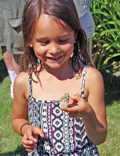 Memories of dear ones take wing at hospice fundraiser | Life ...