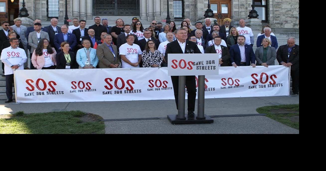 B.C. mayors plead for action on crime, mental health, social disorder ...