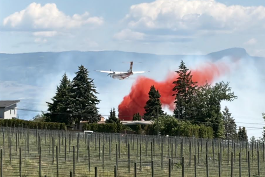 Wildfire came 'within inches' of West Kelowna homes | News ...