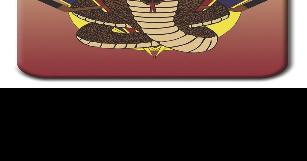 Vipers beat Vees 2-1 in shootout win | Sports | kelownadailycourier.ca