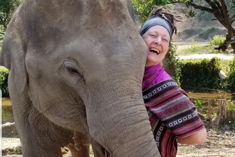 Helping elephants means no free rides | Life | kelownadailycourier.ca