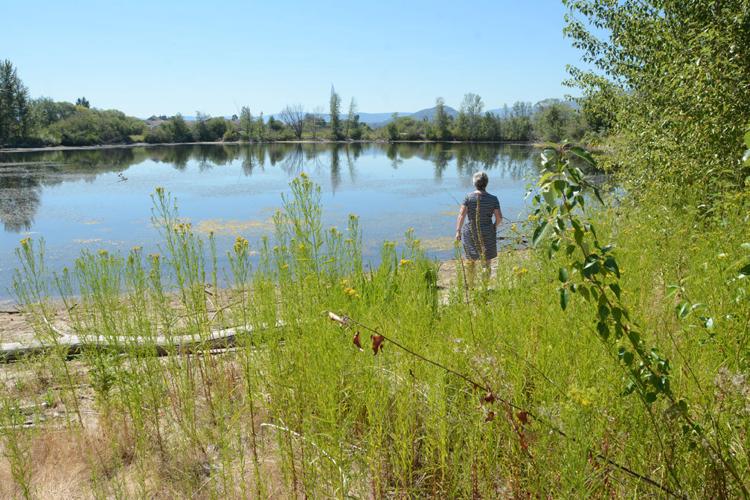 Munson Pond moving out of the shadows | News | kelownadailycourier.ca