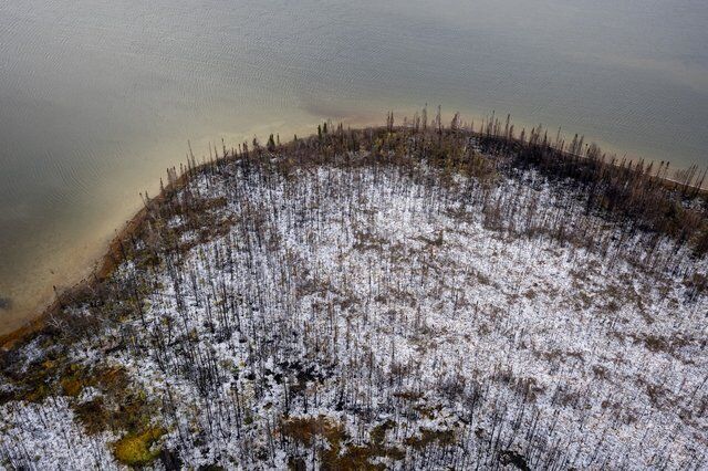Fact File: Does banning glyphosate prevent wildfires? Here's what we ...