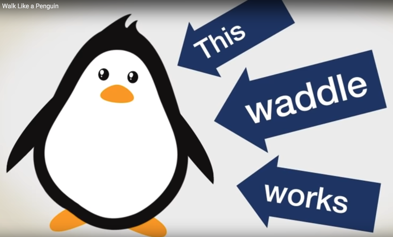 Kelowna school district's snow advice: Walk like a penguin | News ...