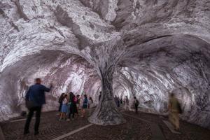 Monumental cave art on Paris' oldest bridge finally opens, as the ...