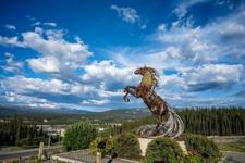 Yukon officials outline power concerns after cold snap tested grid ...