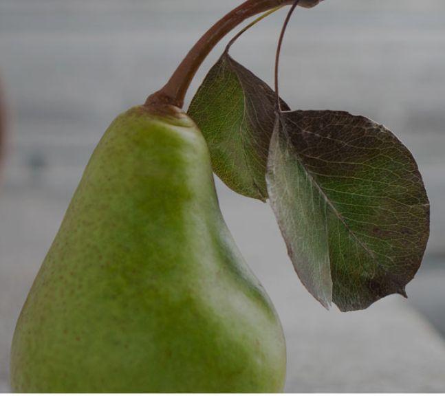 The promise of a fresher, sweeter pear | News | kelownadailycourier.ca