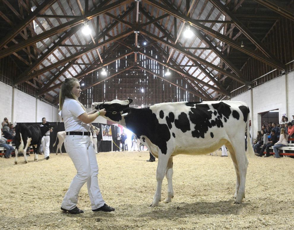 Summer weather in store for Armstrong fair's eagerly awaited return ...