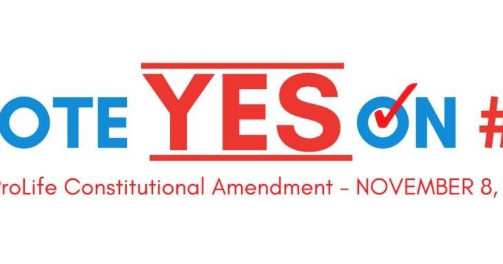 EXPLAINER: What is the Yes for Life constitutional amendment and why ...