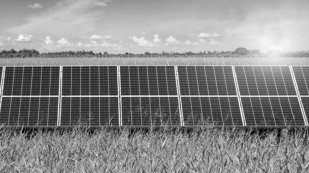 Solar project in Martin County to be built on former coal mine site ...