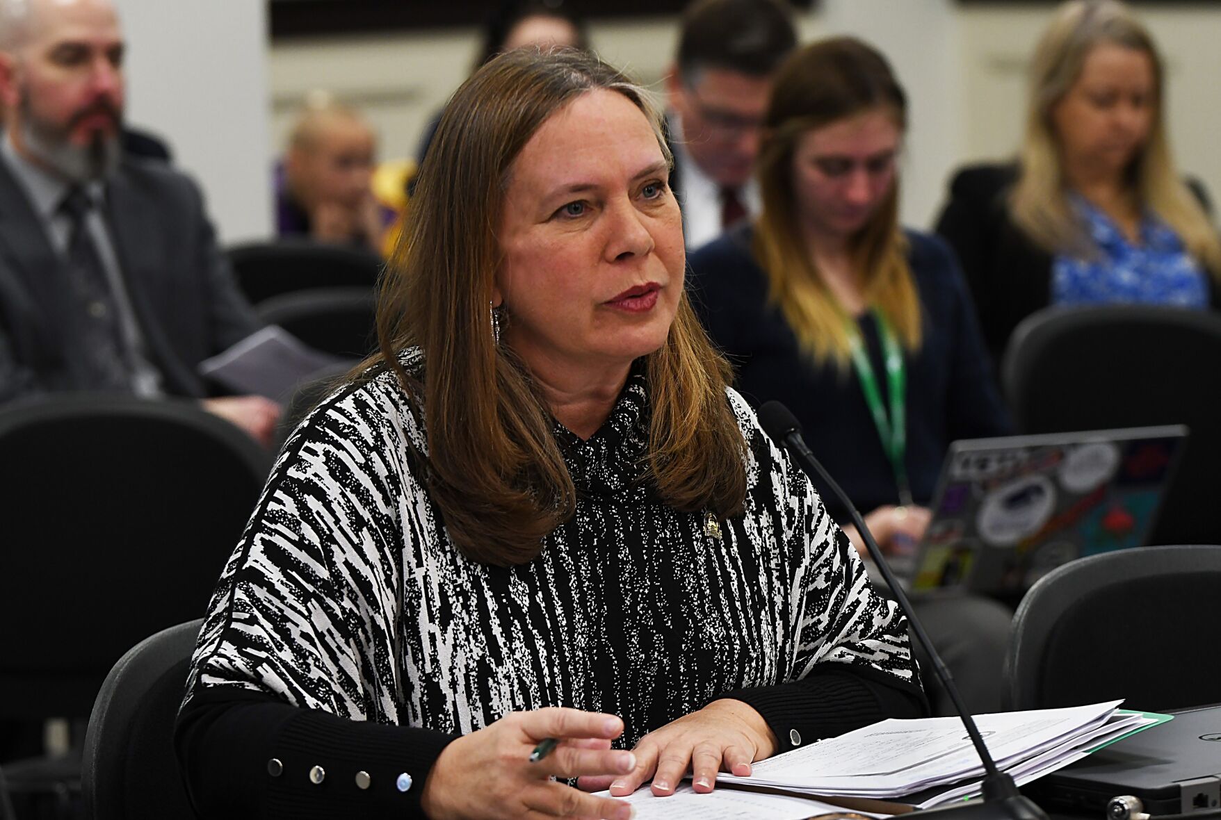 Owensboro lawmaker Suzanne Miles appointed to KNEDA board | News ...