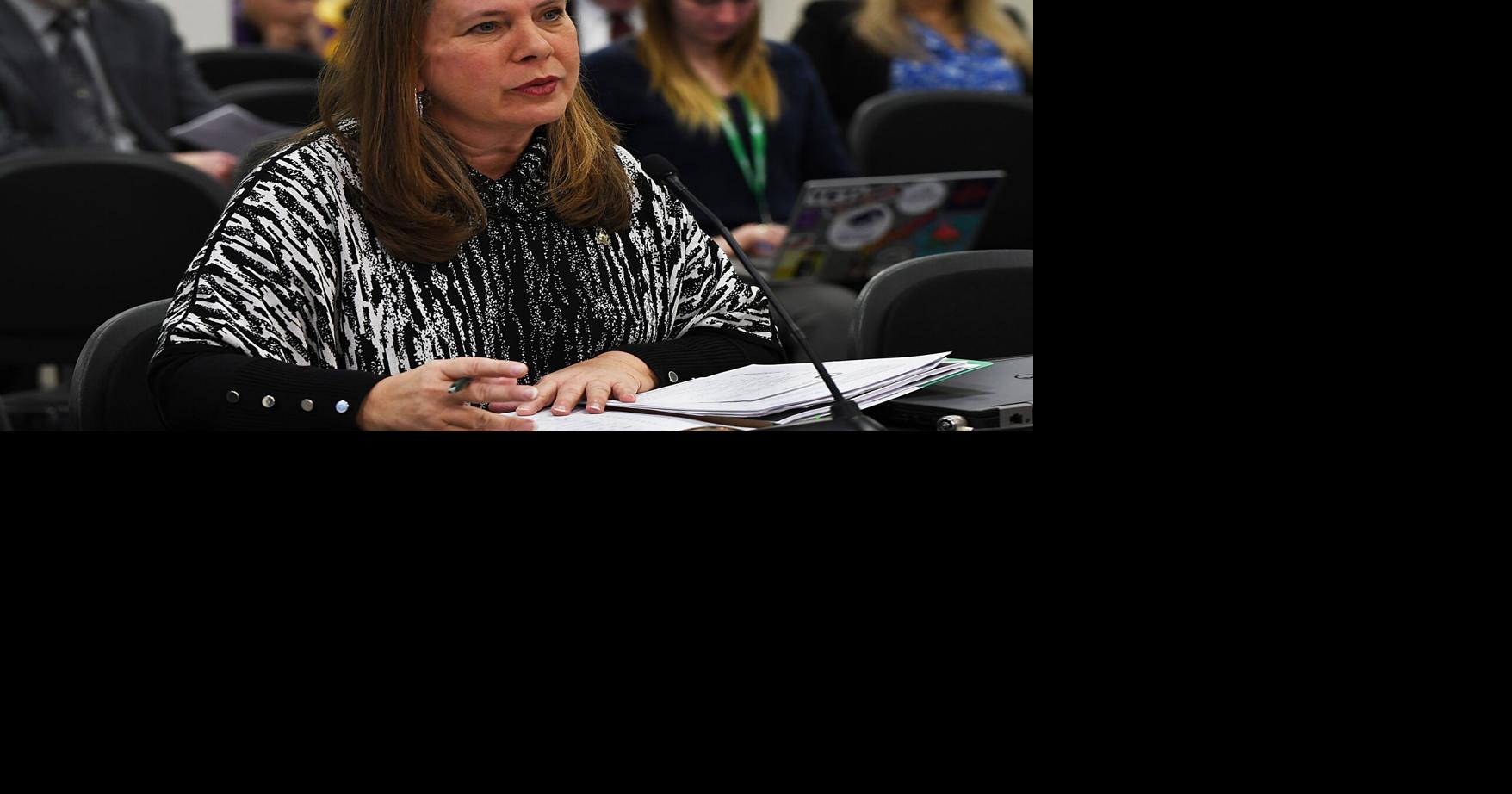 Owensboro lawmaker Suzanne Miles appointed to KNEDA board | News ...