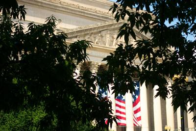 Celebrating Constitution Week | News | kentuckytoday.com
