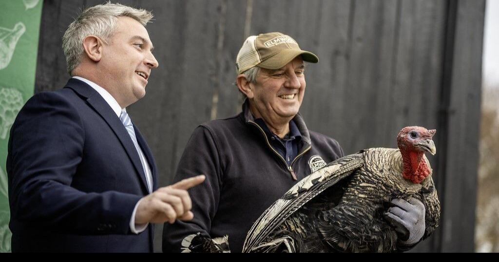 Quarles gives pardon to turkey at Georgetown farm | News ...