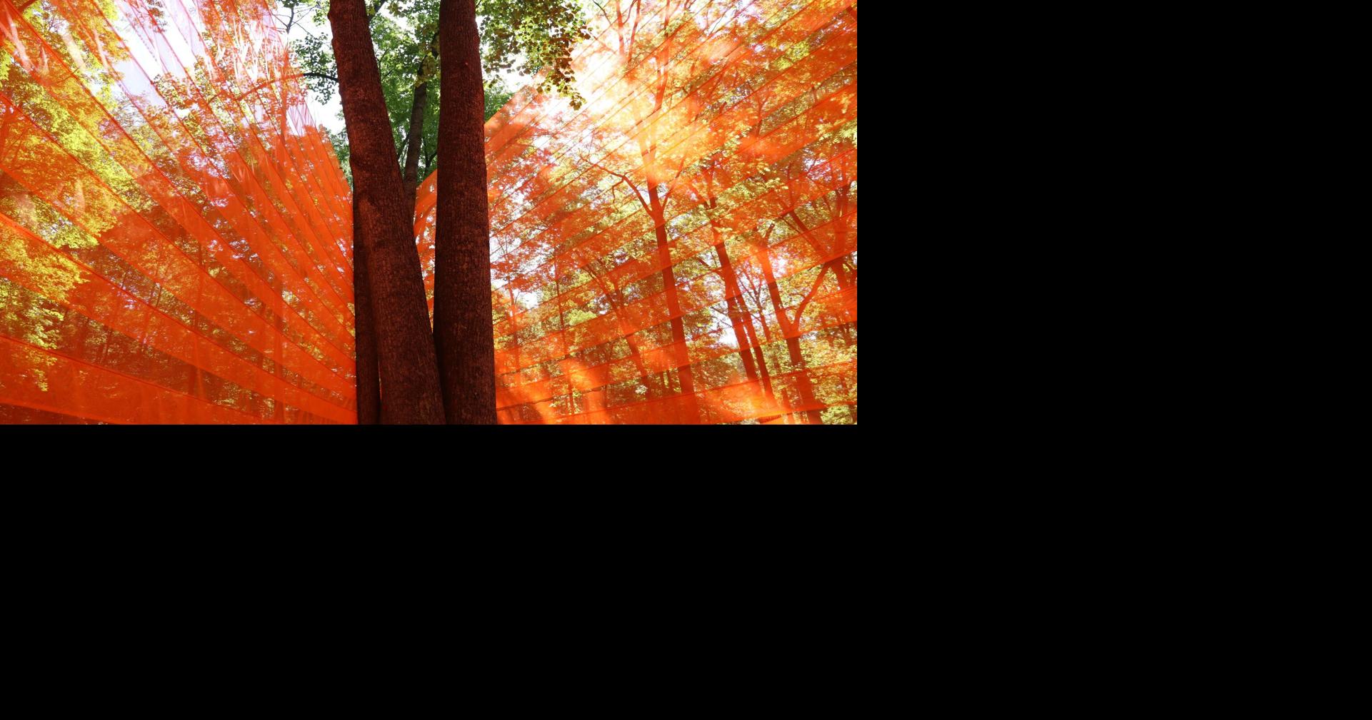 Bernheim Forest approved for arts award of $30,000 | News ...