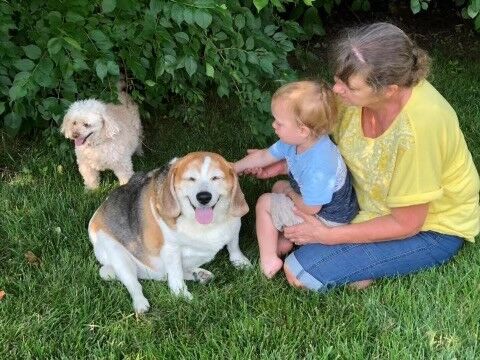 FIRST-PERSON: A dog named Opie | Perspectives | kentuckytoday.com