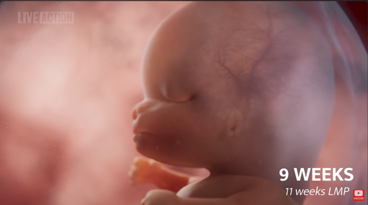 Live Action releases 'Baby Oliver' video depicting human development at ...