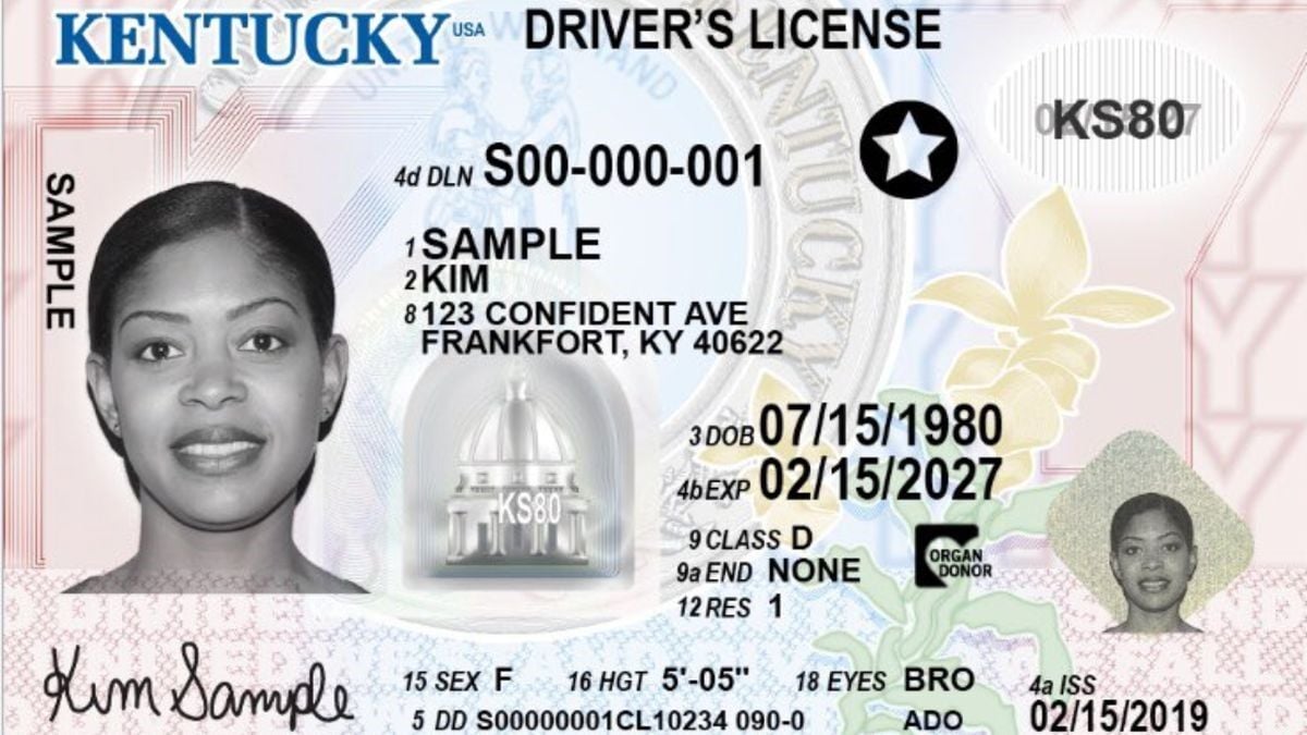 Regional driver licensing office open in Bardstown | News ...