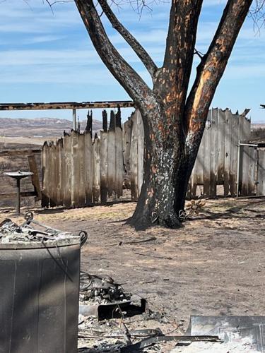 Churches, Disaster Relief teams address Texas wildfire recovery ...