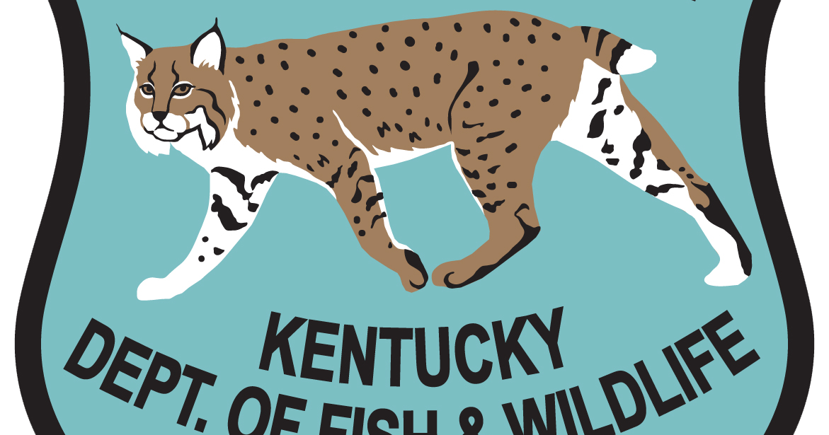 Camp John Currie celebrating 75th anniversary | News | kentuckytoday.com