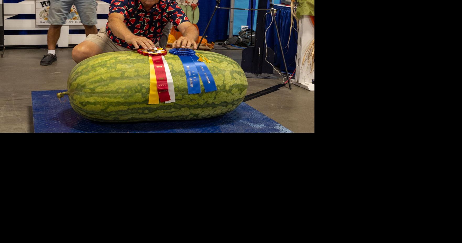 biggest watermelon ever