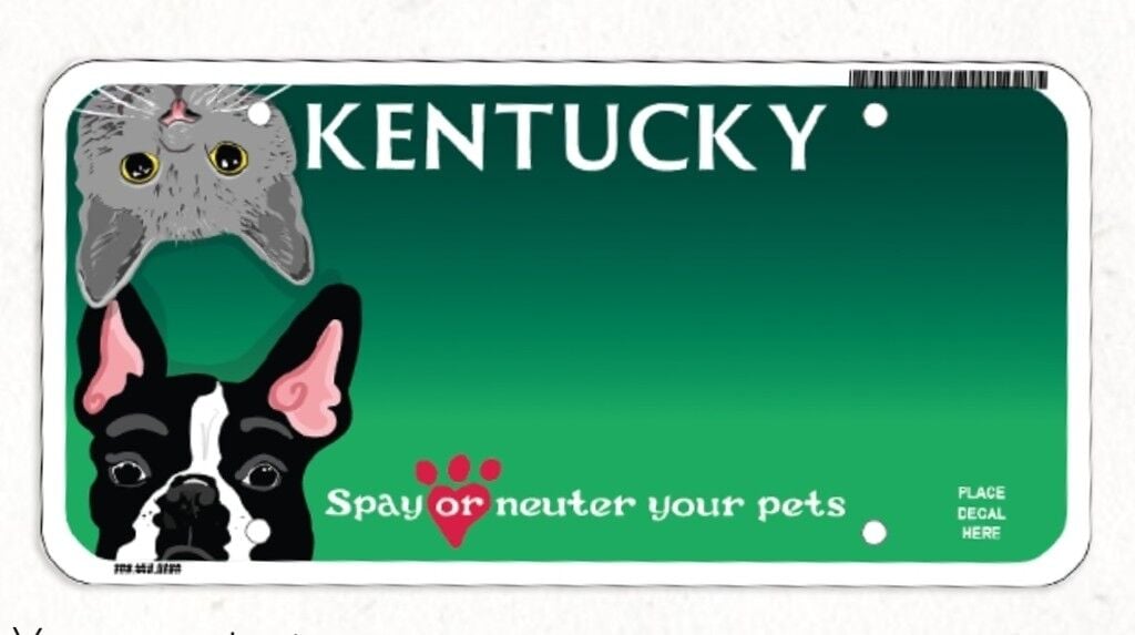 Spay and neuter grants available for local governments | News ...