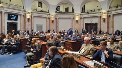 Election precinct legislation introduced in House | News ...