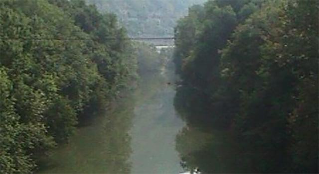 Recreational swimming advisory issued for Levisa Fork | News ...