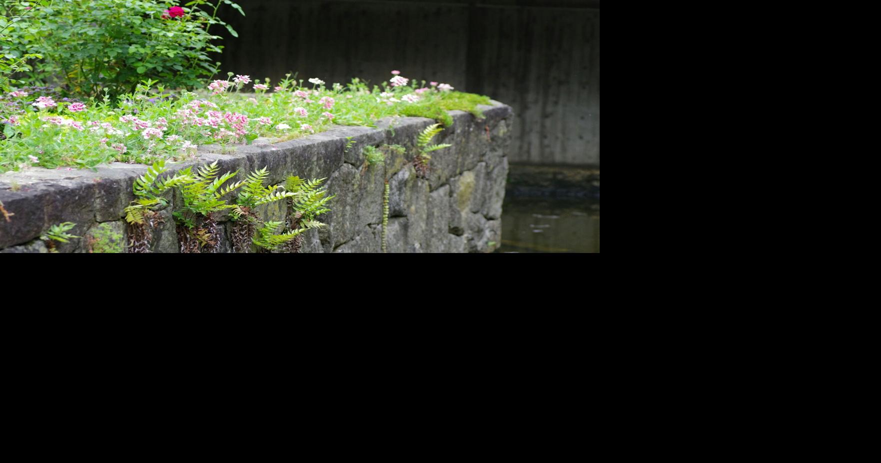 FIRST-PERSON: Life wins | Perspectives | kentuckytoday.com