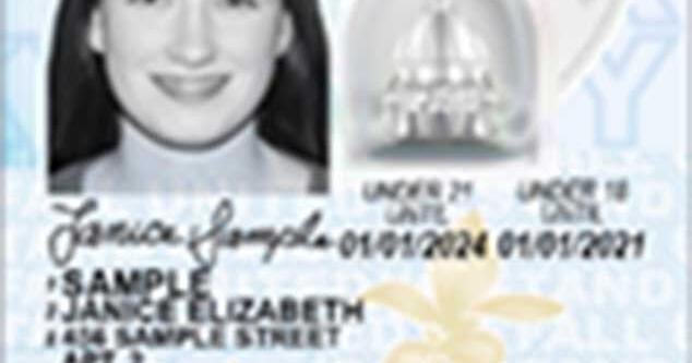 Learner permits for 15s by appointment | News | kentuckytoday.com