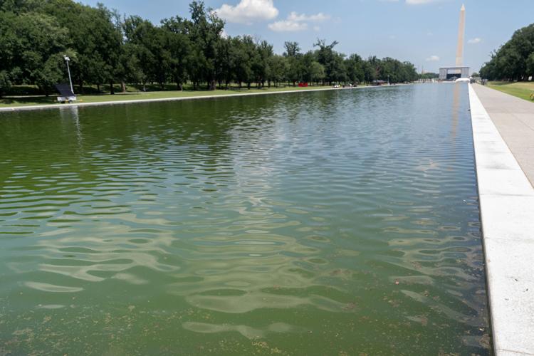 Former Olympian indicted on felony charge over alleged Reflecting Pool ...