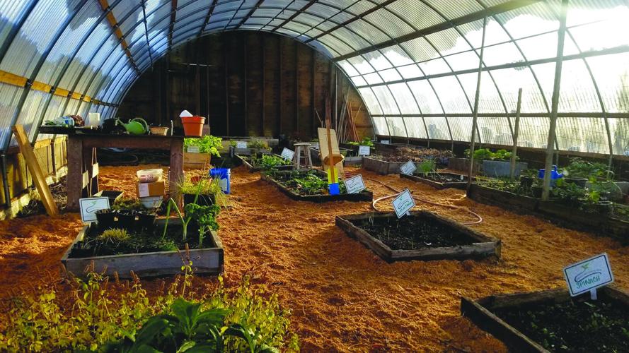 Community garden transforming Metlakatla's access to fresh produce ...