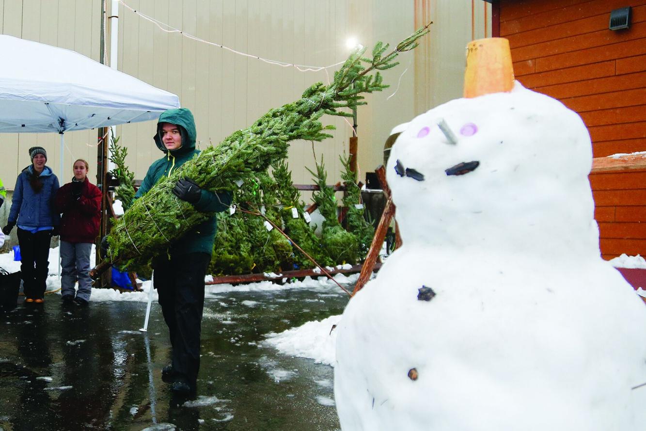 O Christmas tree | Photos | ketchikandailynews.com