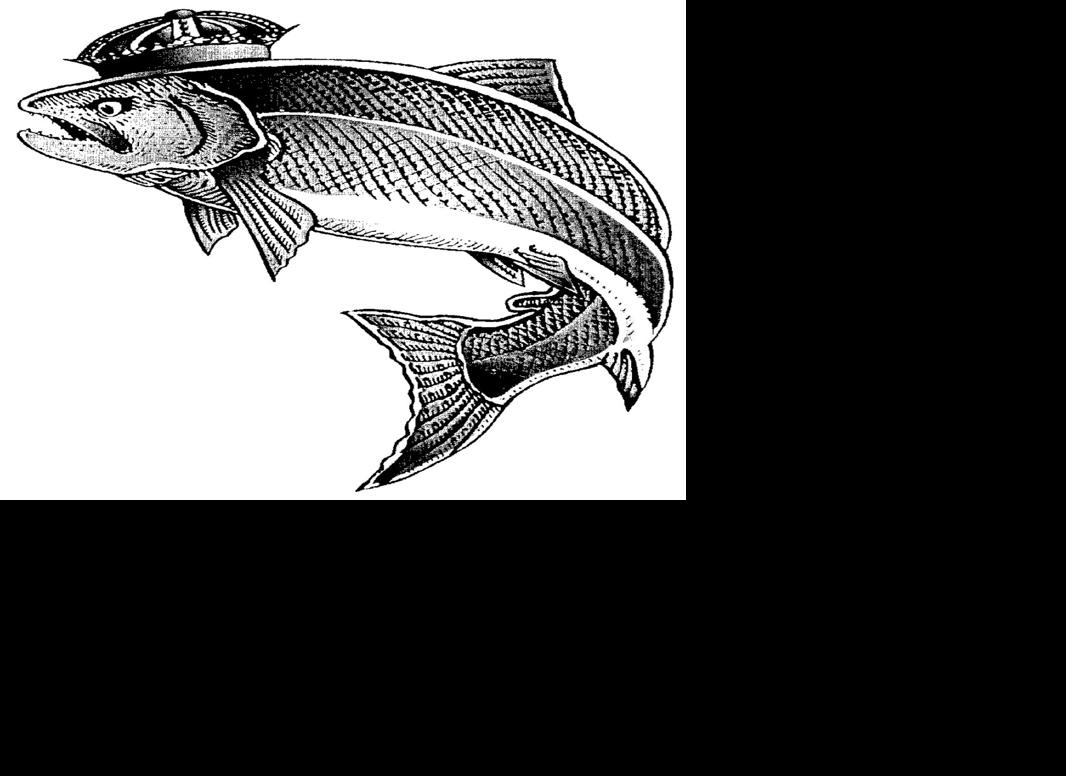 Kings set for state swim finals: Hagan, Harold, Dash brothers advance ...