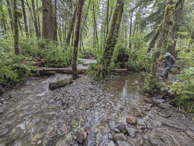 Stream restoration first of many USFS Ward Lake projects slated under ...